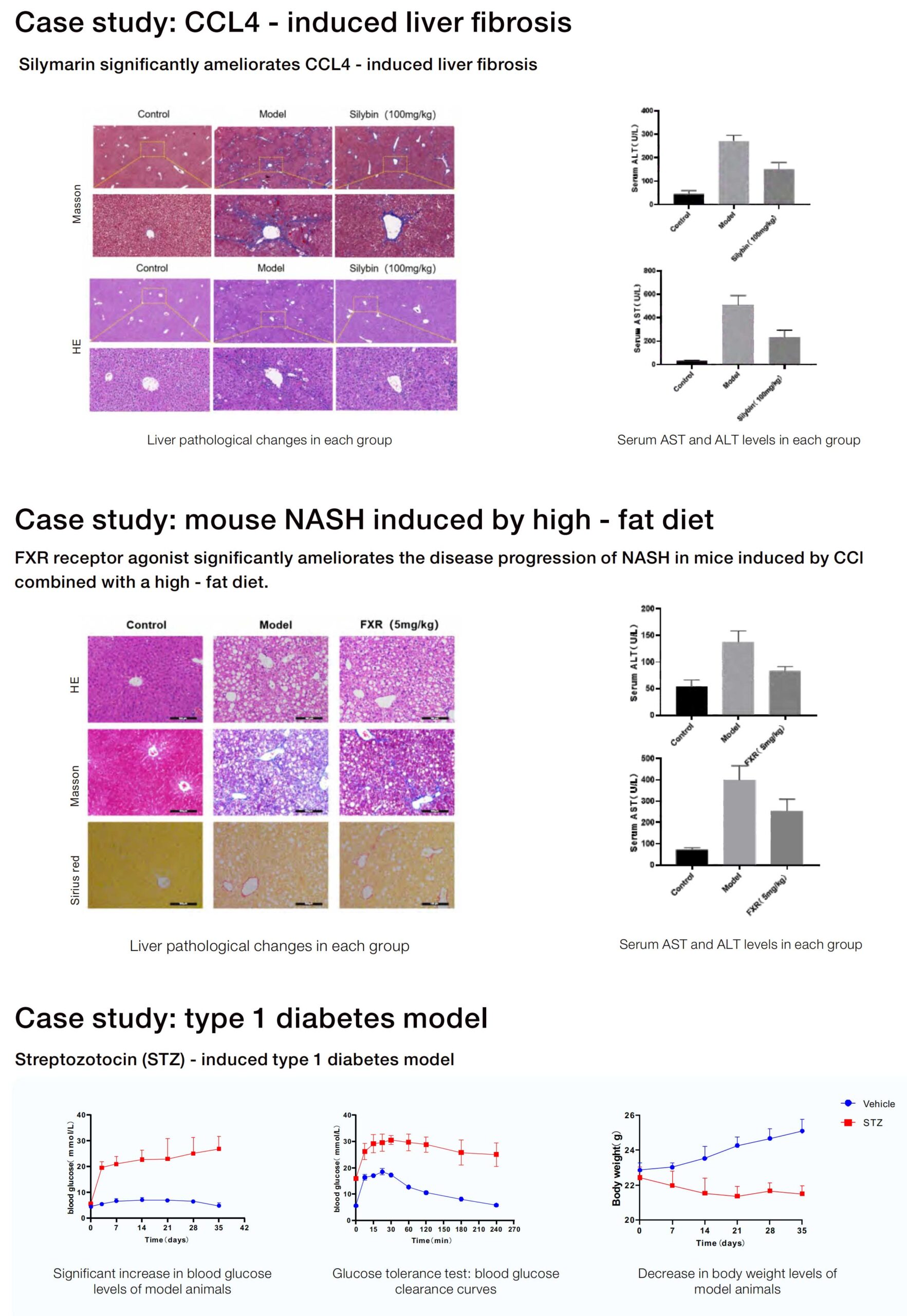 Preclinical Metabolic Disease Models & Efficacy | Jennio Biotech