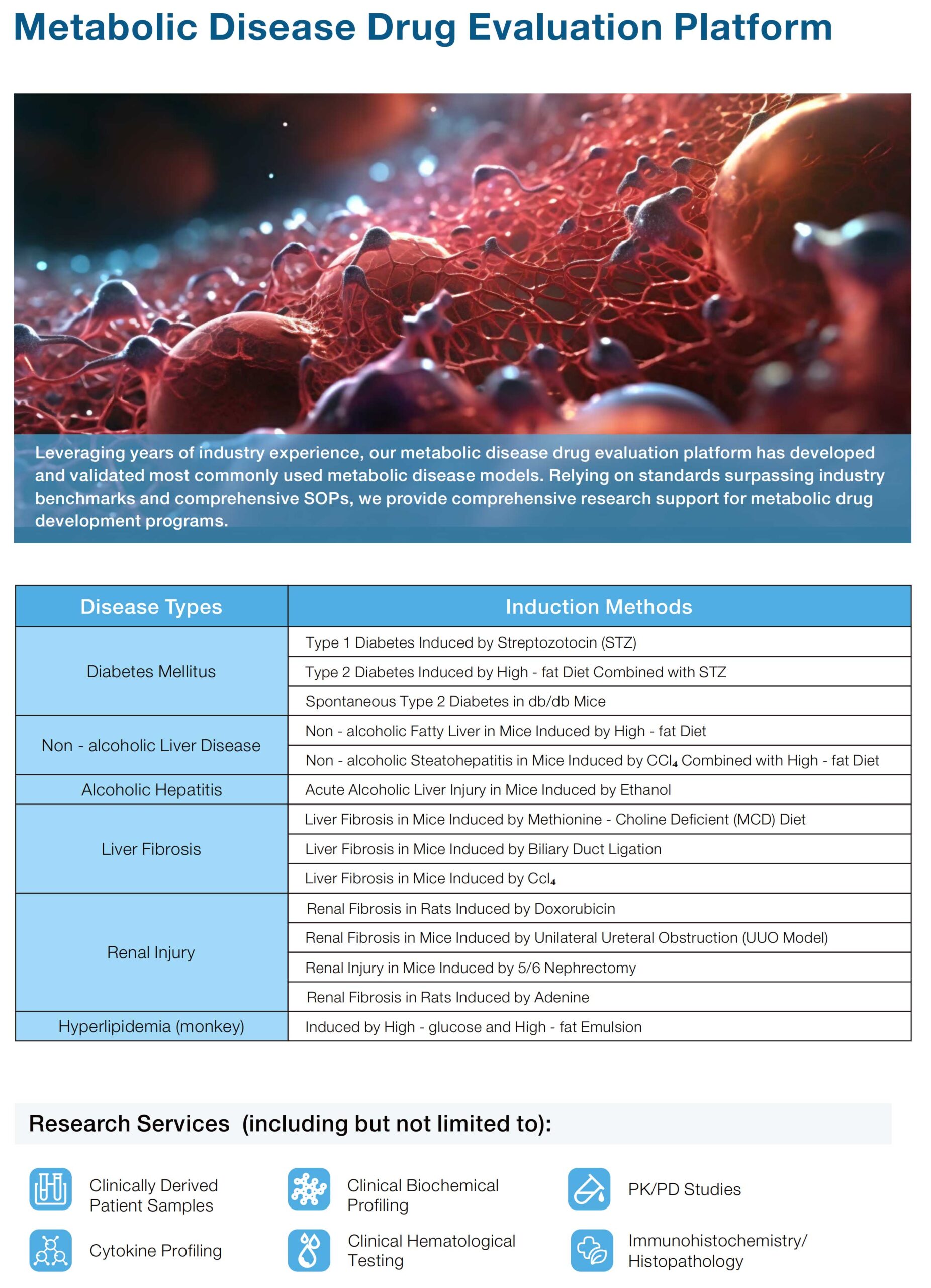 Preclinical Metabolic Disease Models & Efficacy | Jennio Biotech